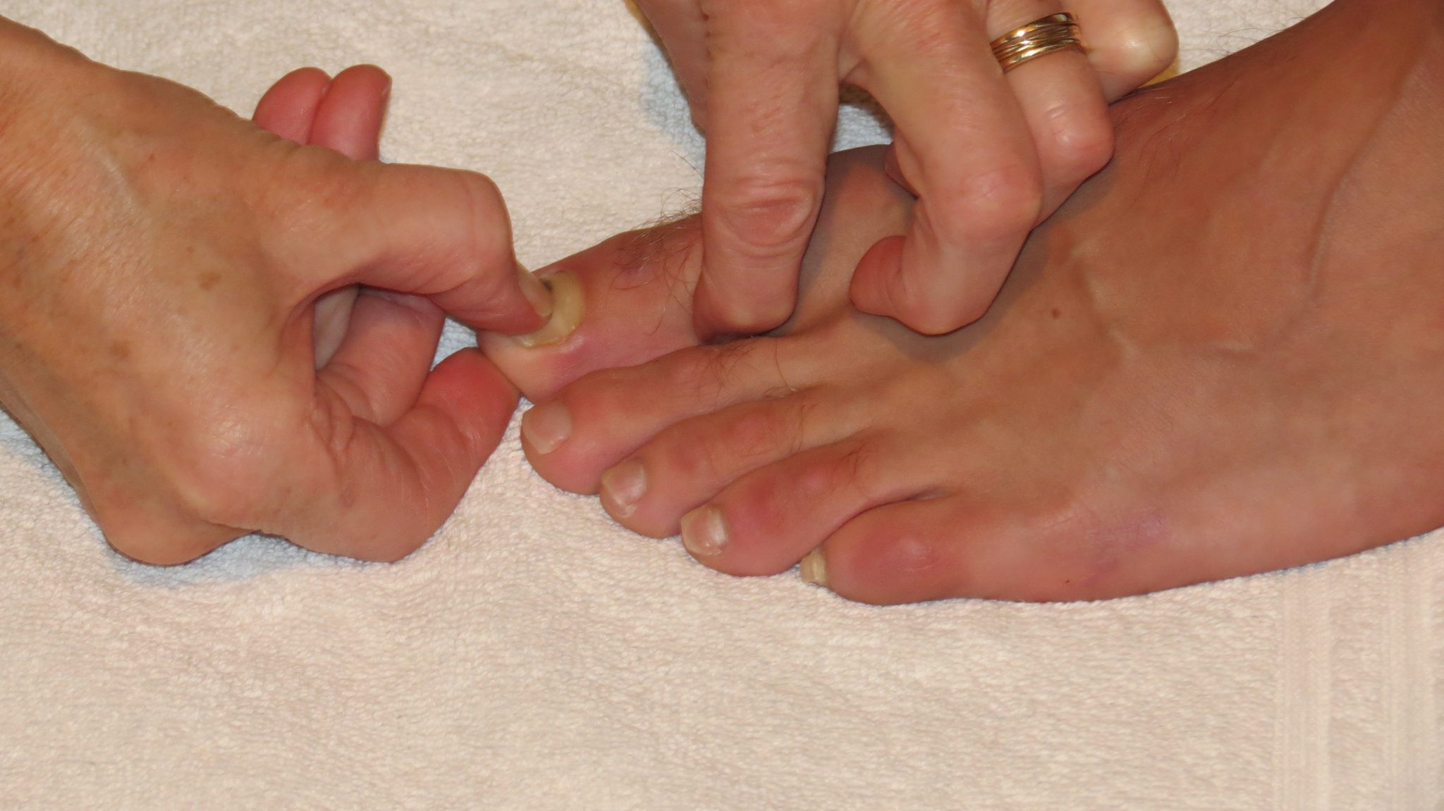 Online Courses – Vertical Reflexology