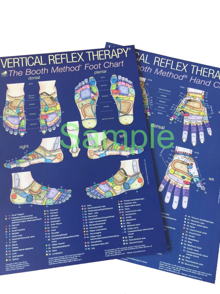 2 x VRT A4 Charts for Hand and Feet – offer – Vertical Reflexology