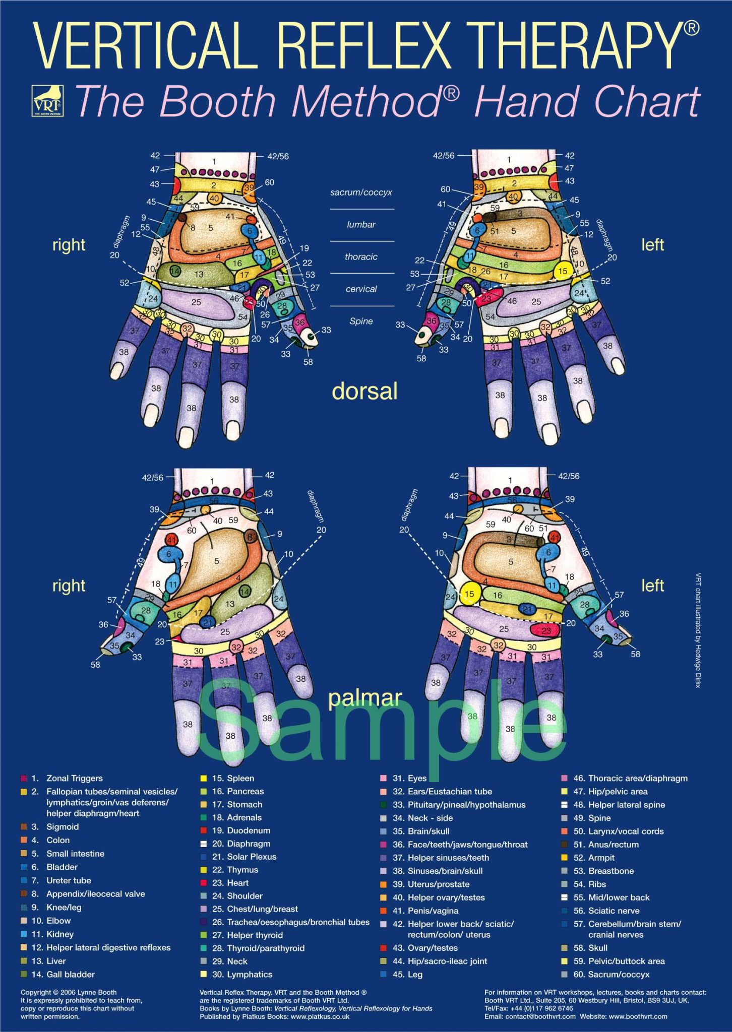 A4 Size Hand VRT Chart – Vertical Reflexology